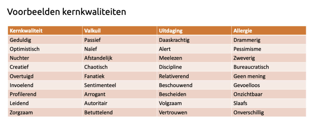 Kernkwadrant: Ontdek je Kwaliteiten, Valkuilen en Uitdagingen